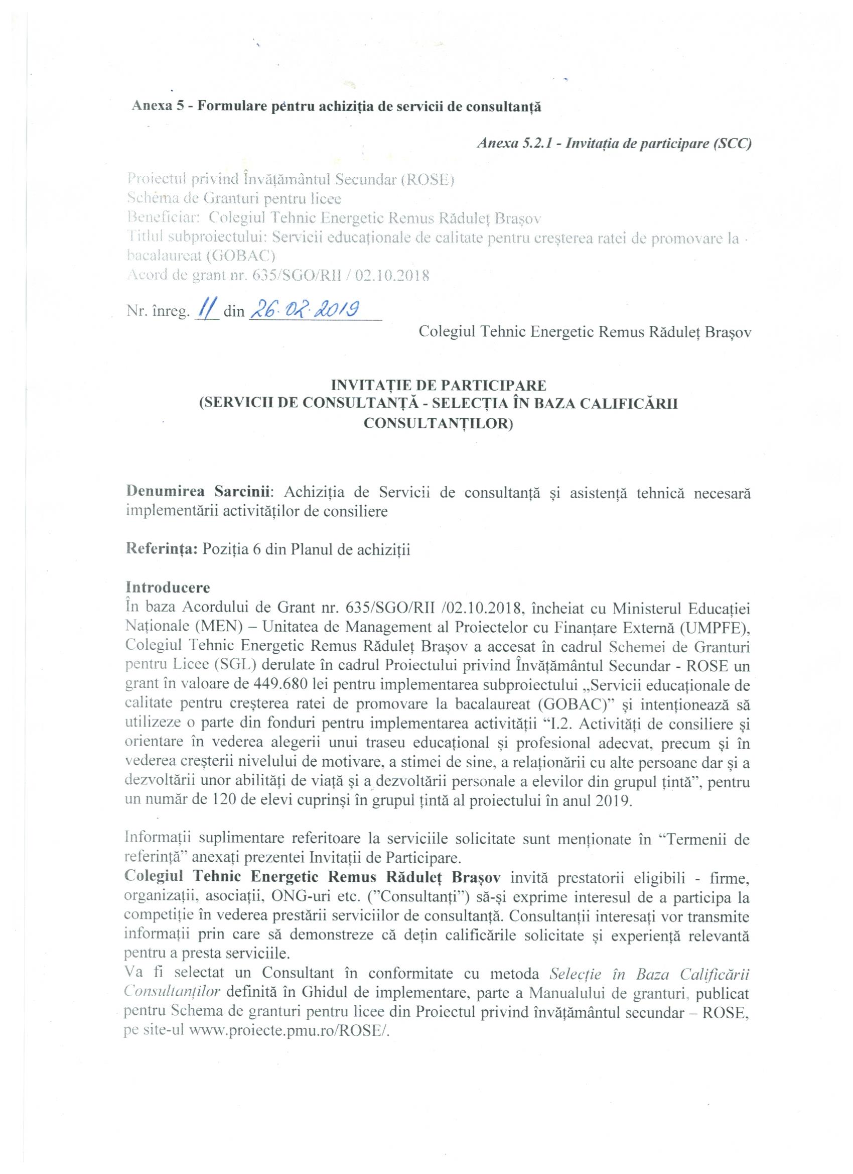 Achiziţii consultanţă 2019